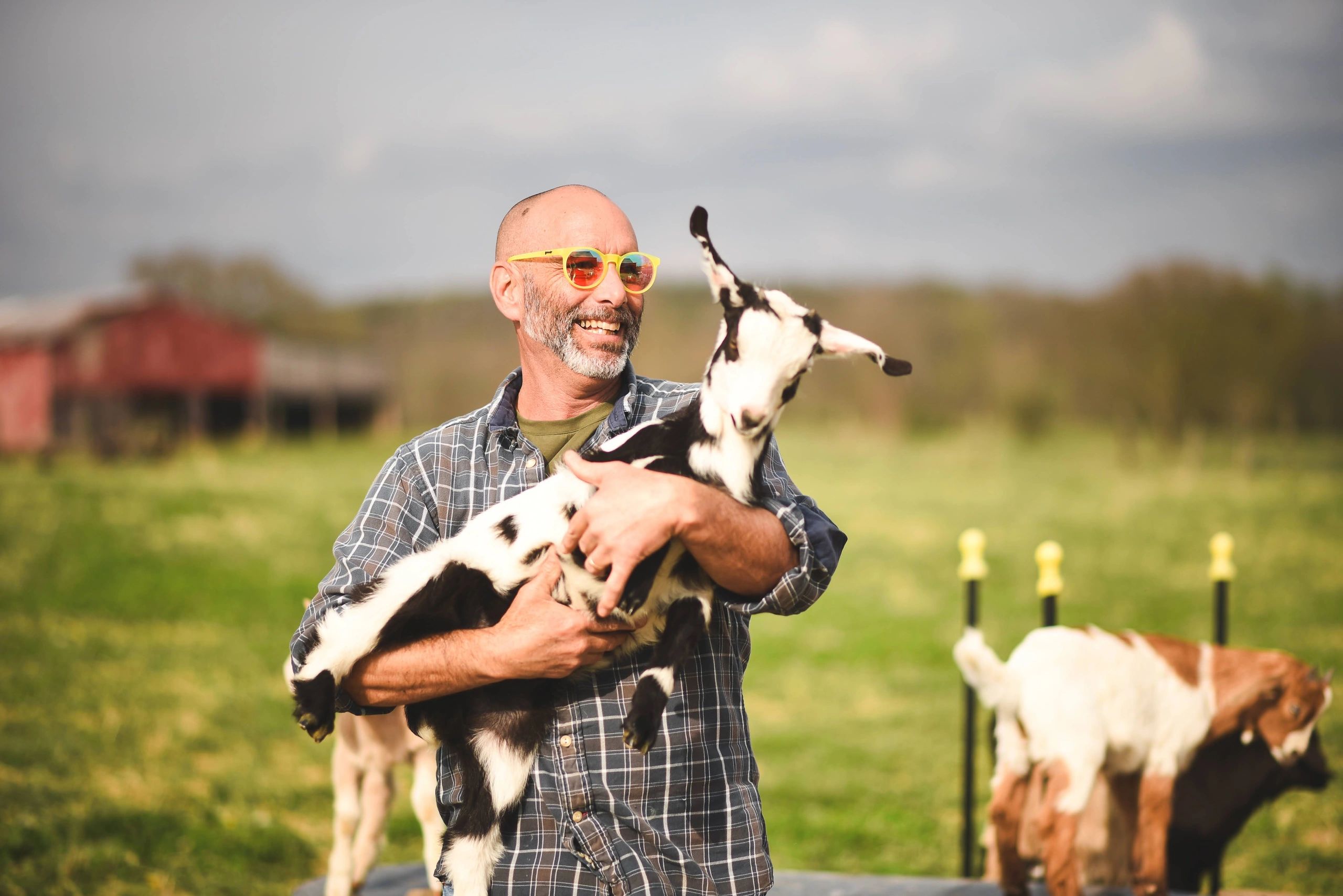 5 things we’ve learned about goats