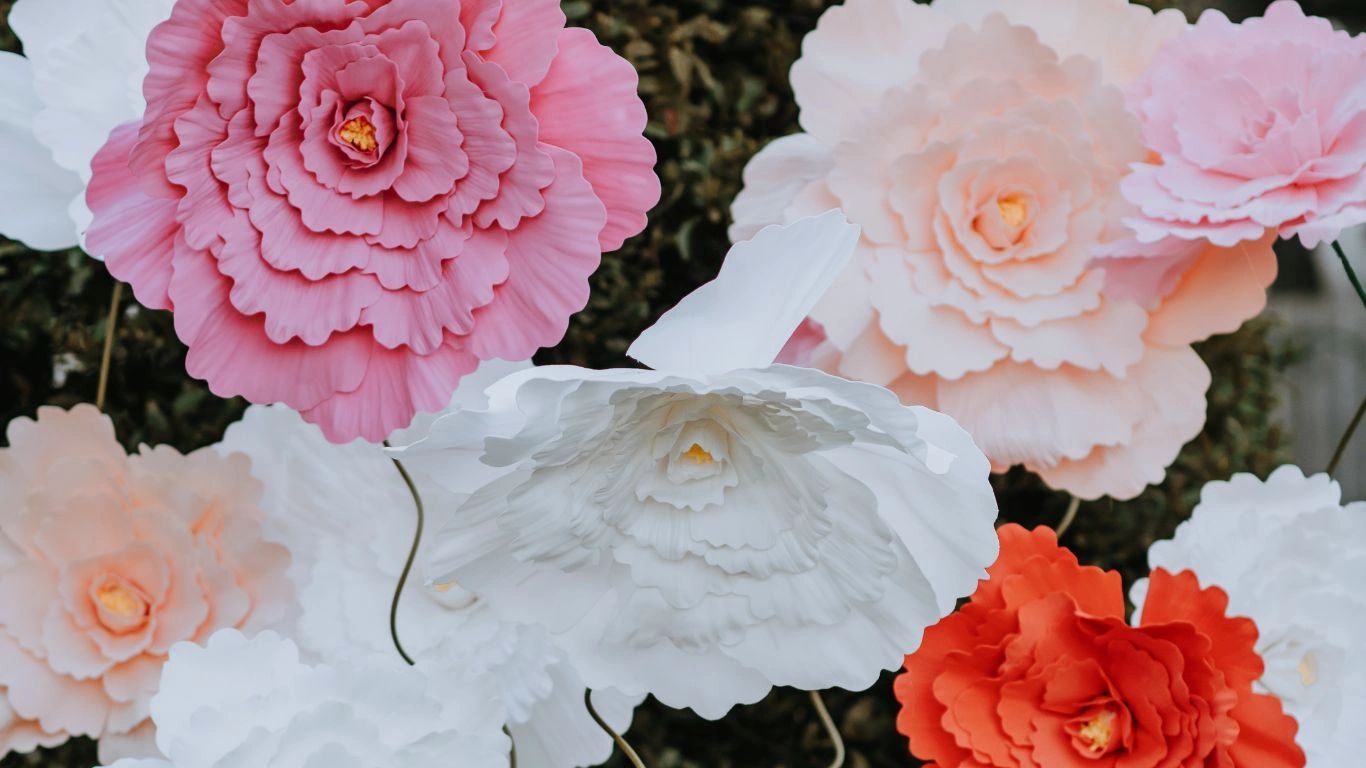 Big Blooms - Stunning Giant Flowers for Every Occasion