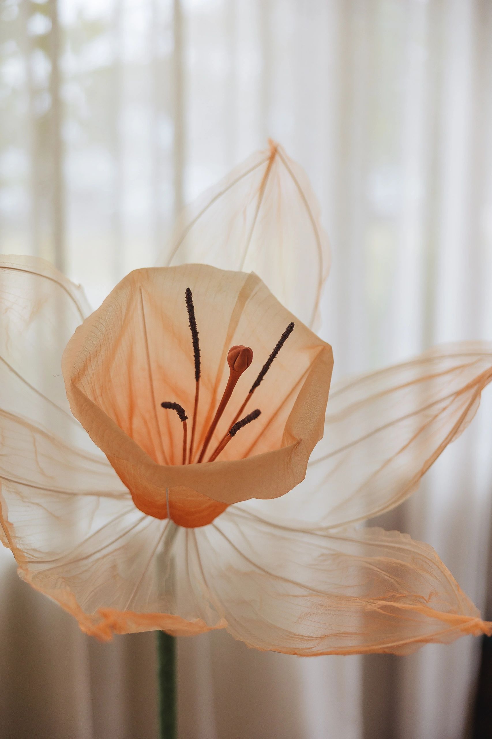 Stunning Giant Flowers for Every Occasion