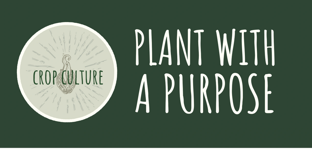 Bumper Stickers for Donation