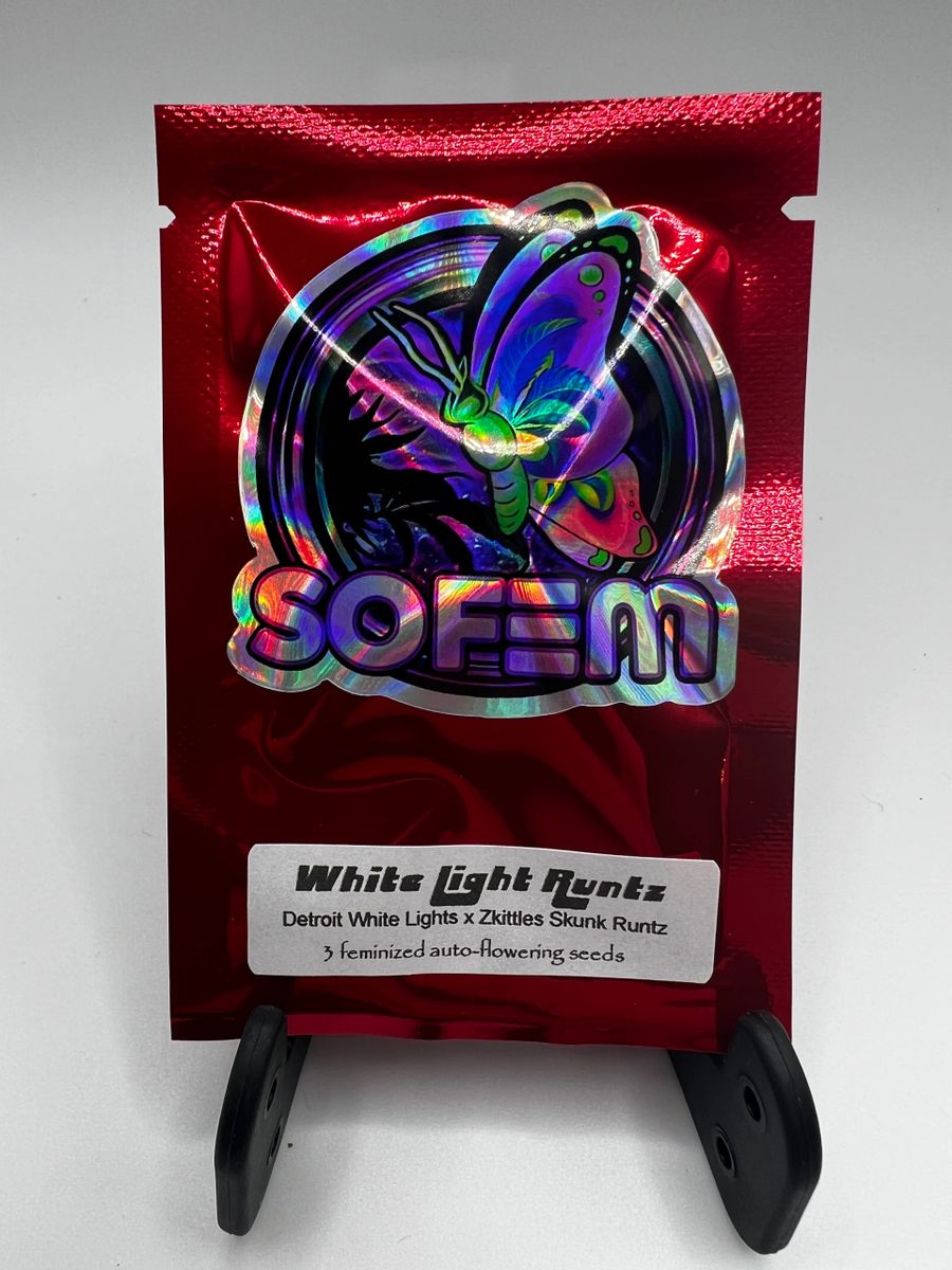 SoFem Genetics - White Light Runtz