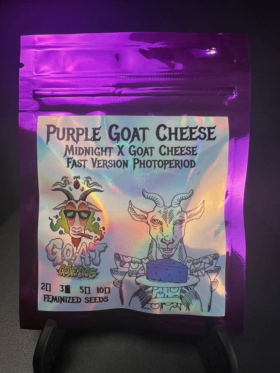 G.O.A.T Genetics - Purple Goat Cheese (Fast Photo)