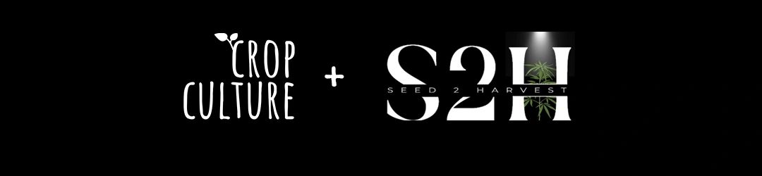 S2H Potcast Season 2 Box Featuring Gingerbred Genetics