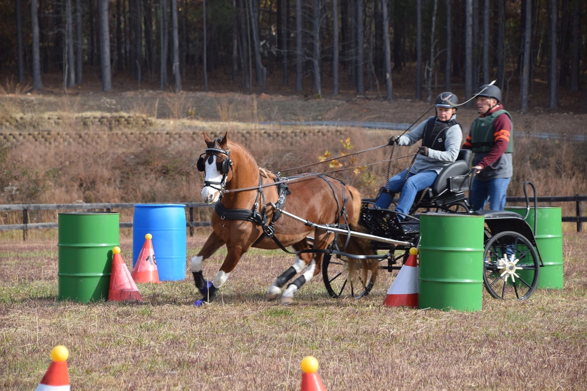 Virginia Carriage Driving Events