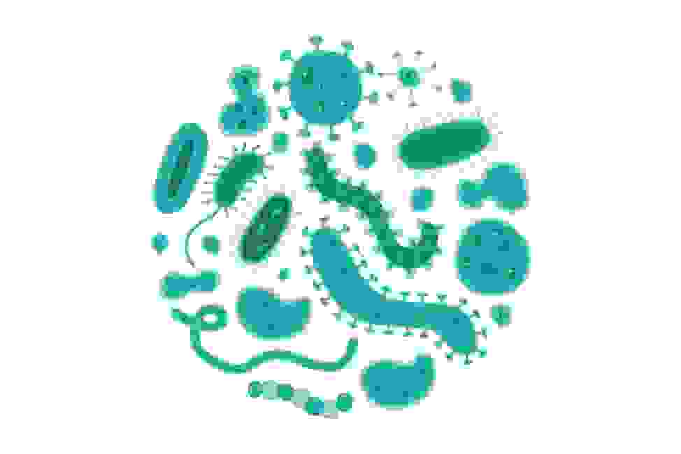 The Gut Biome | Louisiana Agriculture Preservation Society