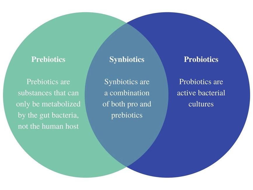 The Gut Biome | Louisiana Agriculture Preservation Society