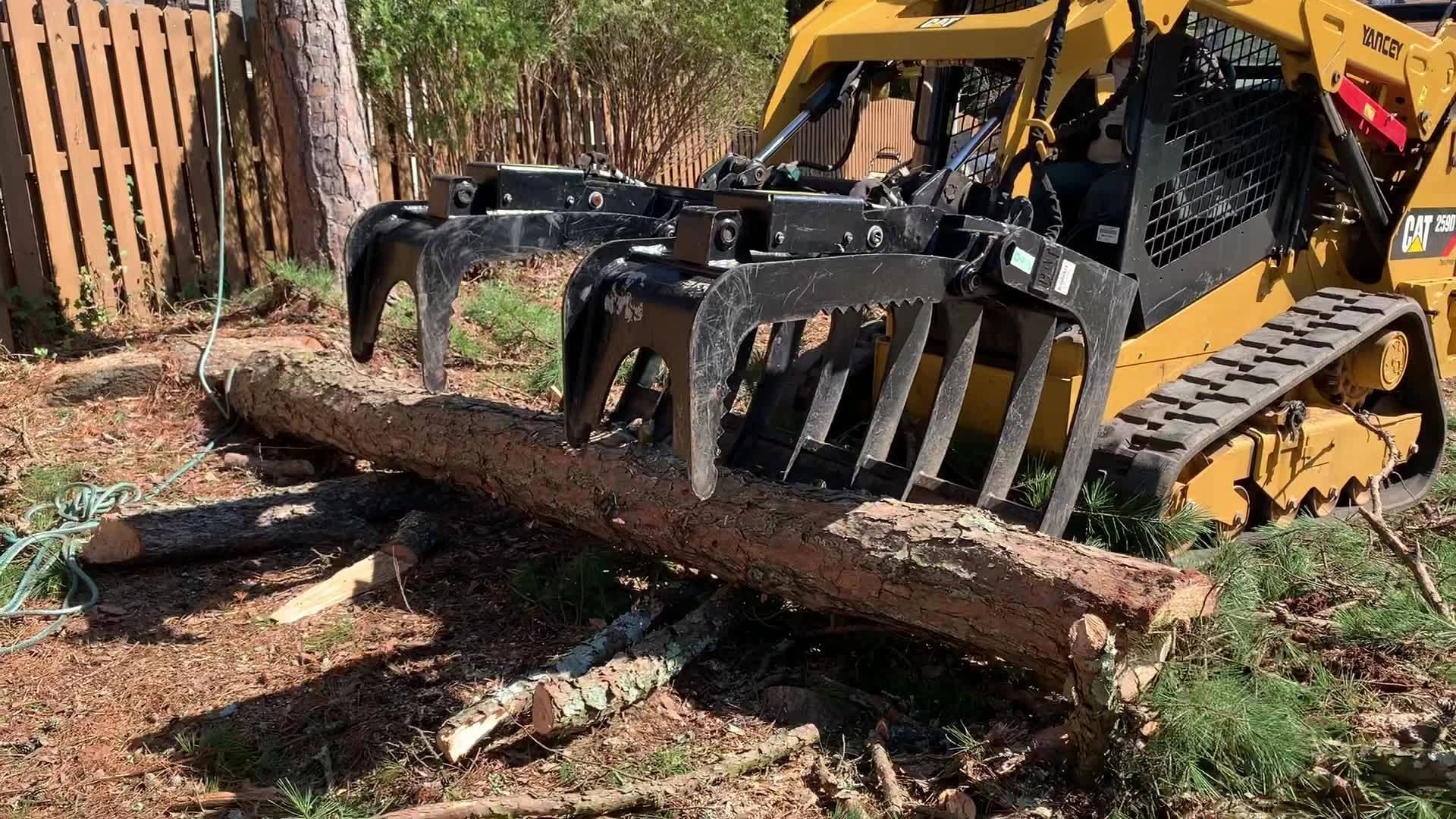 Professional Commercial Tree Service in Your Area