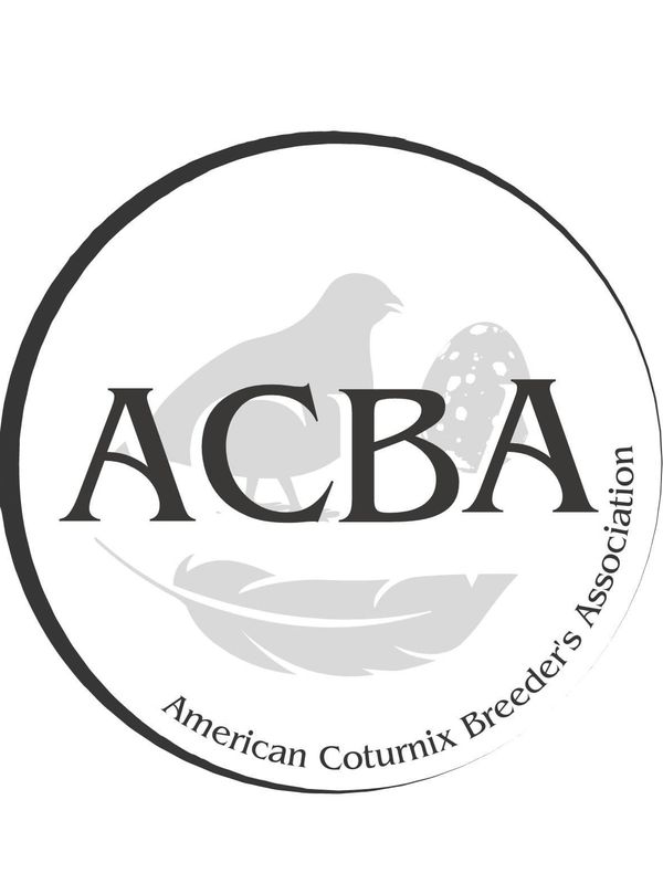 Quail Hatching Eggs - Gopher Ridge Quail and Game Bird Farm