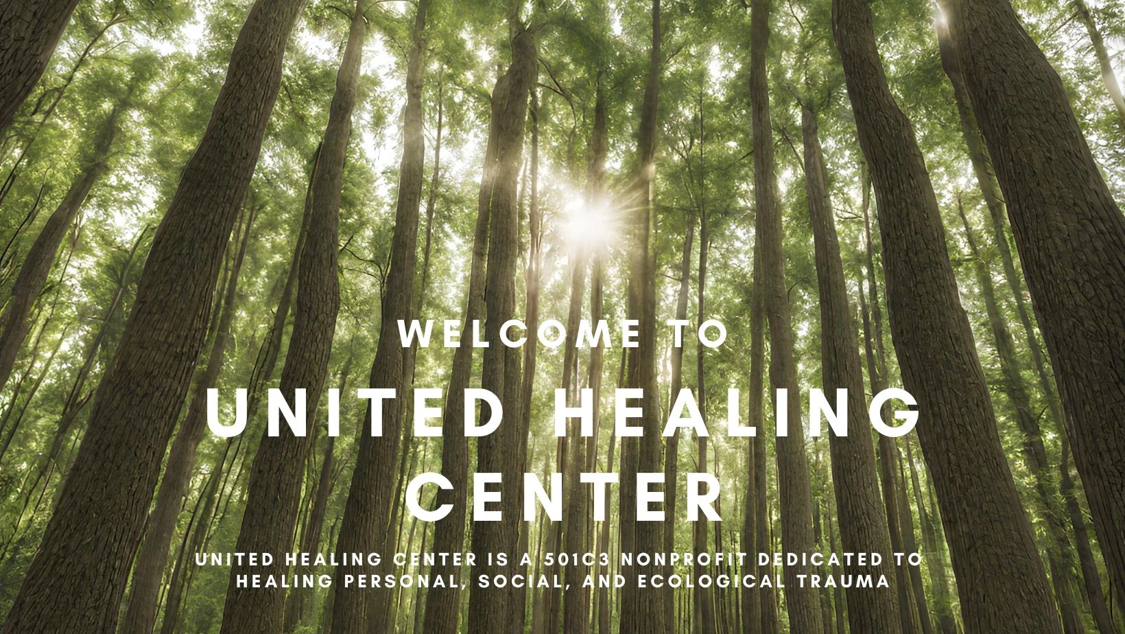 Discover Healing Retreats for Inner Peace