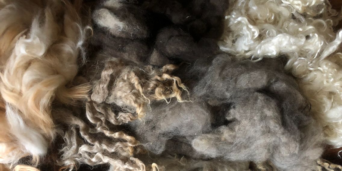 Hidden Pastures Luxury Fiber Farm - Farm, Fiber Arts, Farm, Crafts