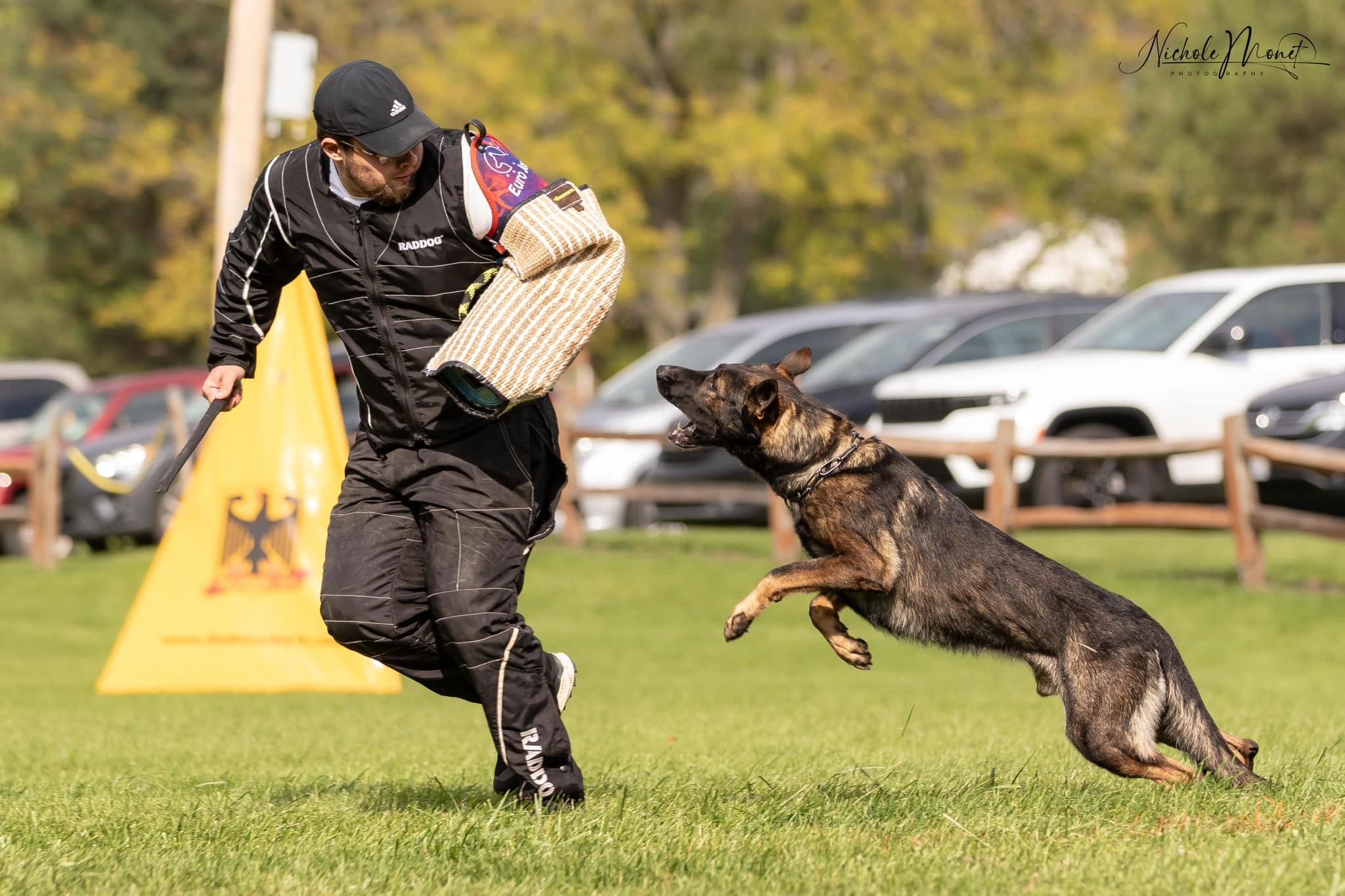 Great Lakes Working Dog Association