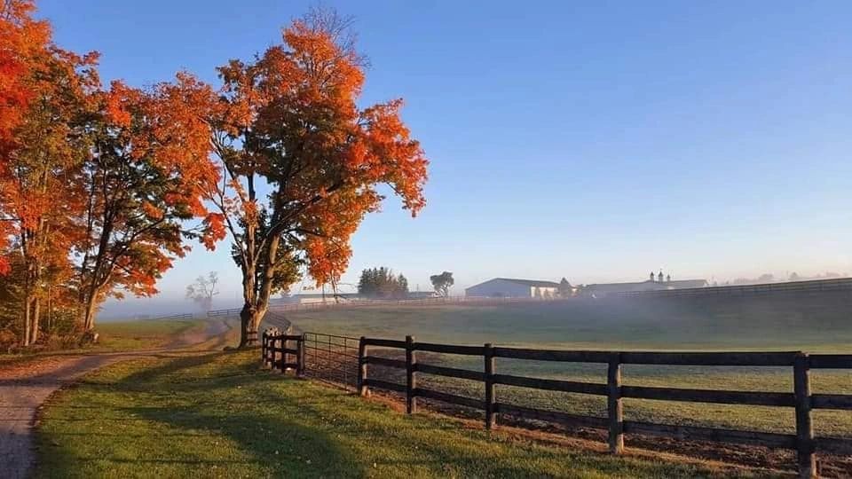 Walden Ridge Equestrian Center