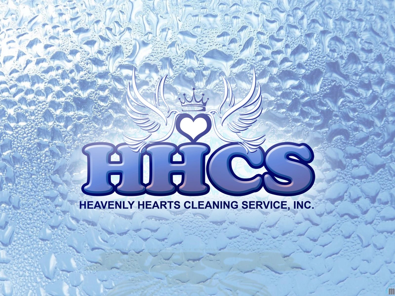 HEAVENLY HEARTS CLEANING SERVICES INC