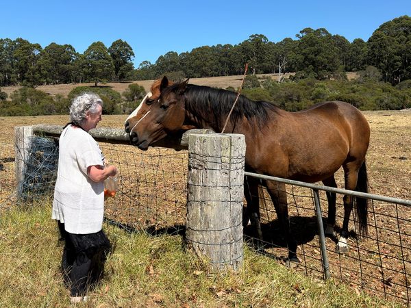 Respite / STA Options