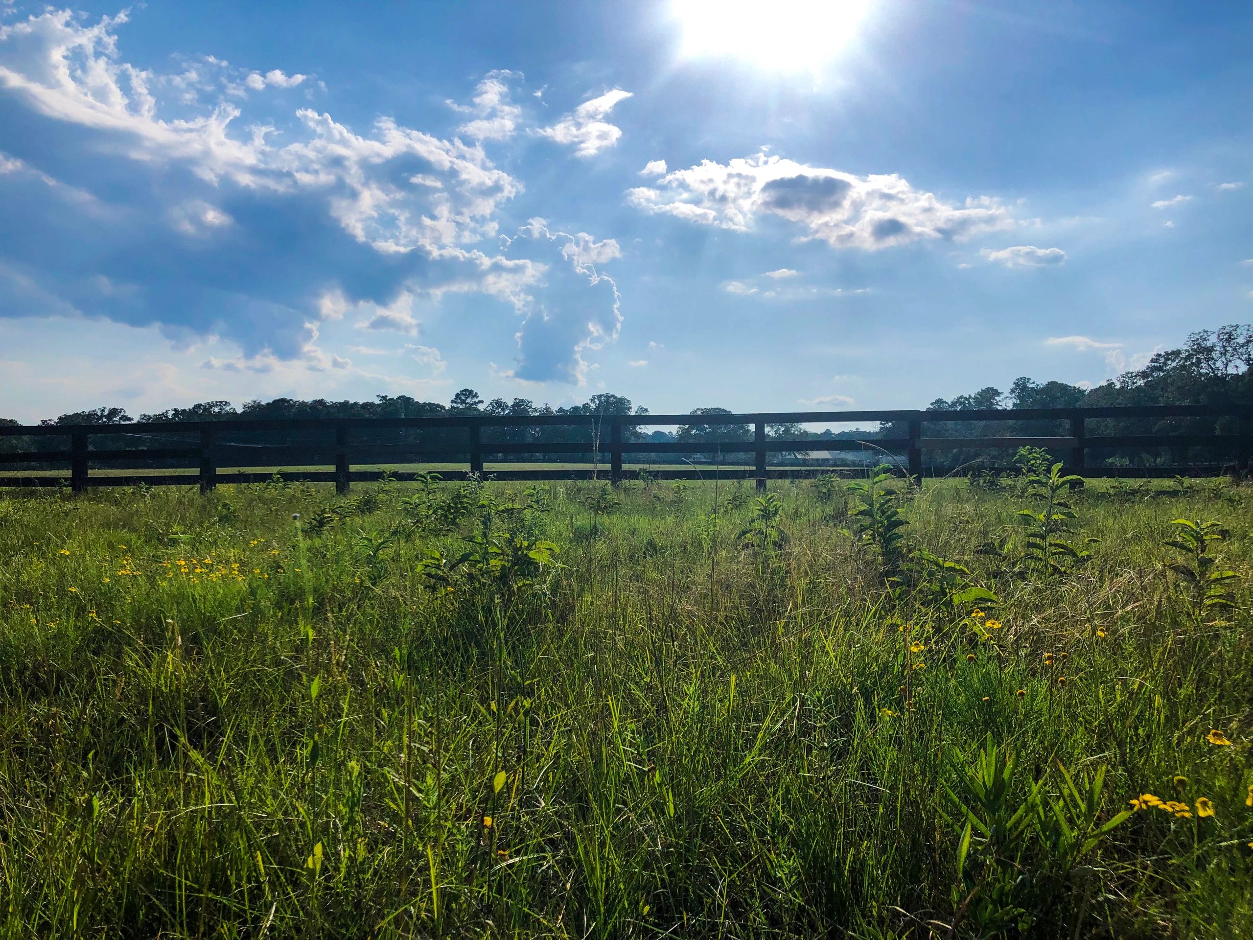 Agape Farms