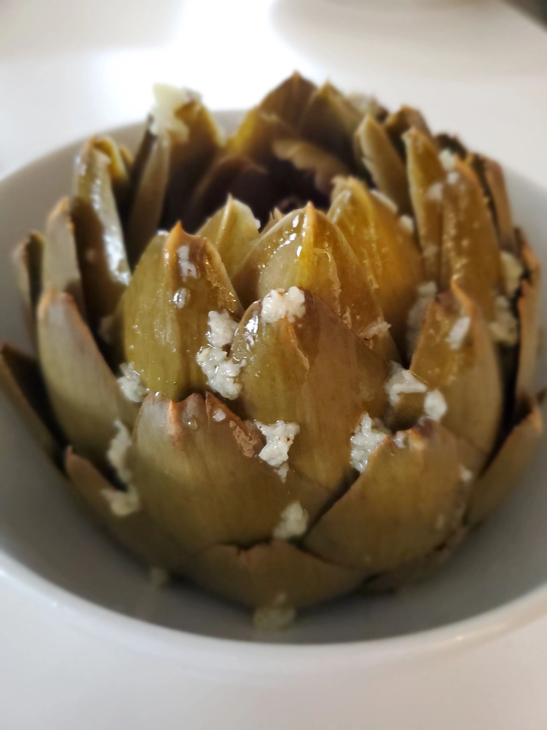 habibi-tapas-grill-mediterranean-tapas-vegetarian-options-kelowna