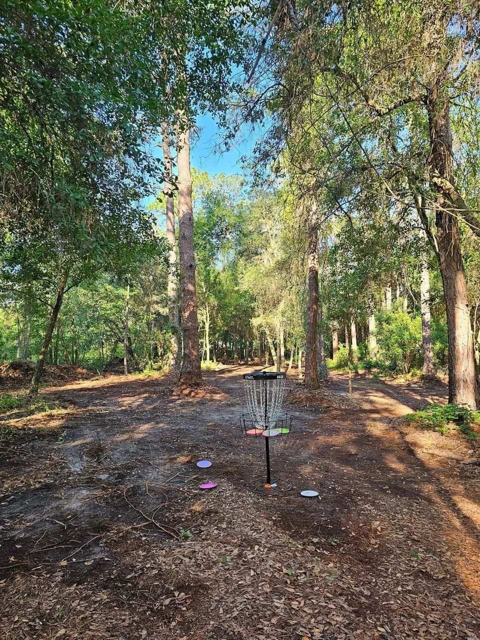 New Disk Golf Course