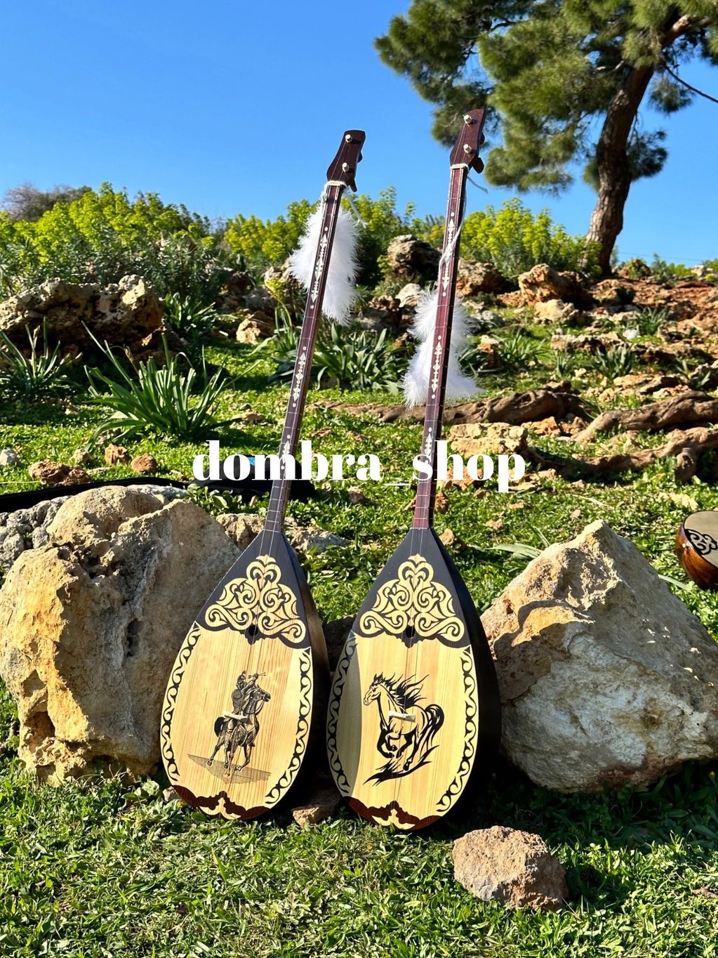 Yarı profesyonel modeller | Dombra Dükkanı