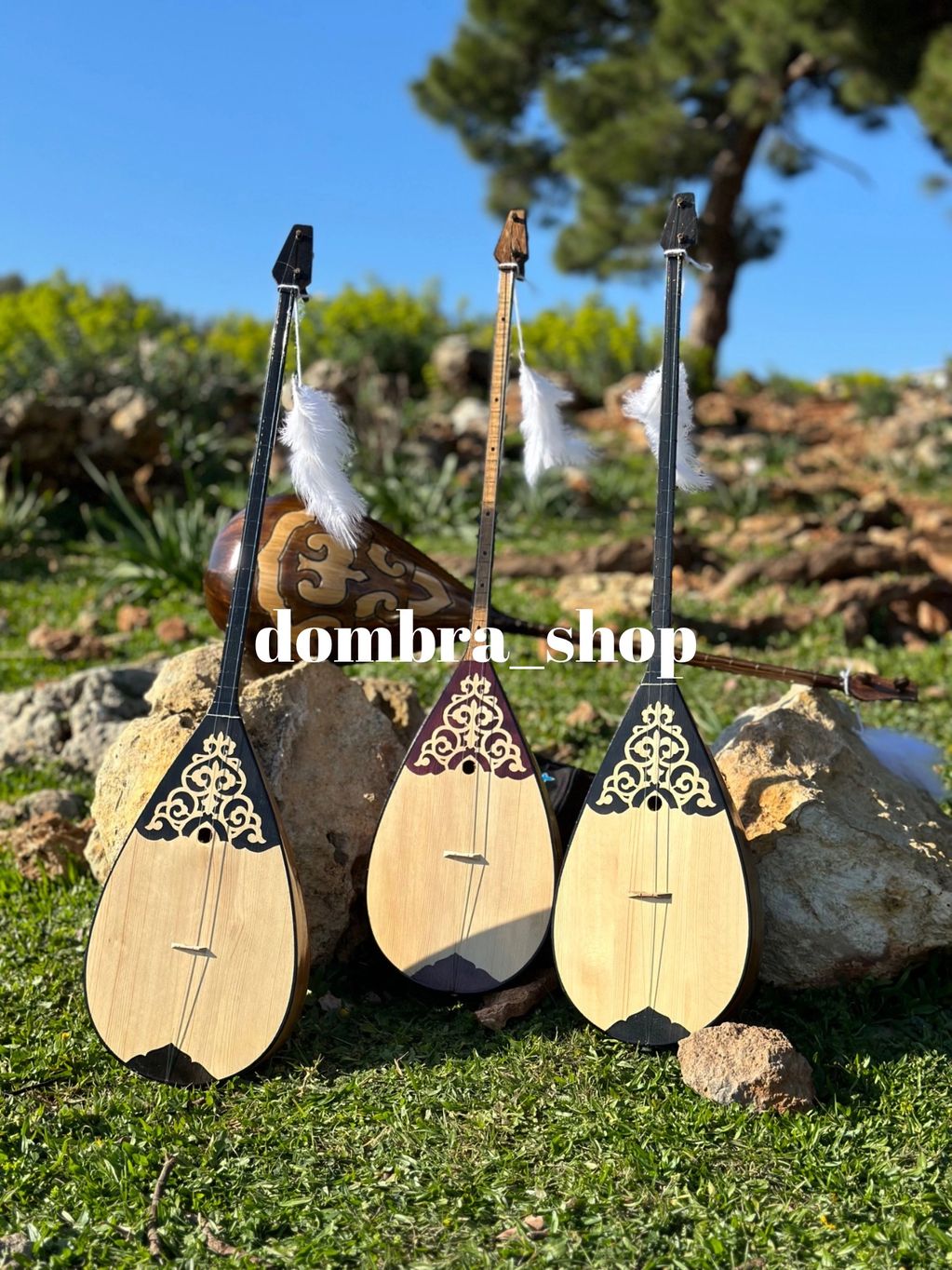 Başlangıç modelleri | Dombra Dükkanı