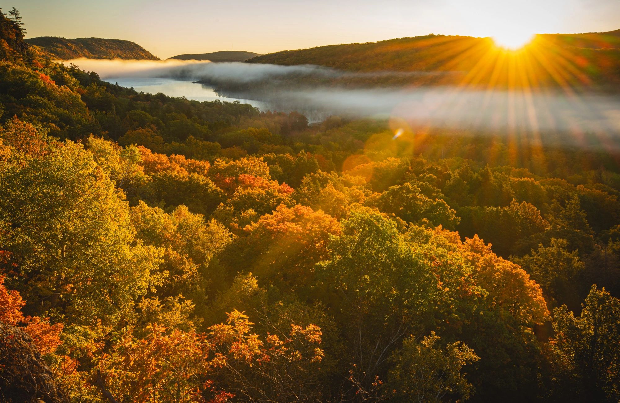 Take action against Copperwood Mine | Protect the Porkies