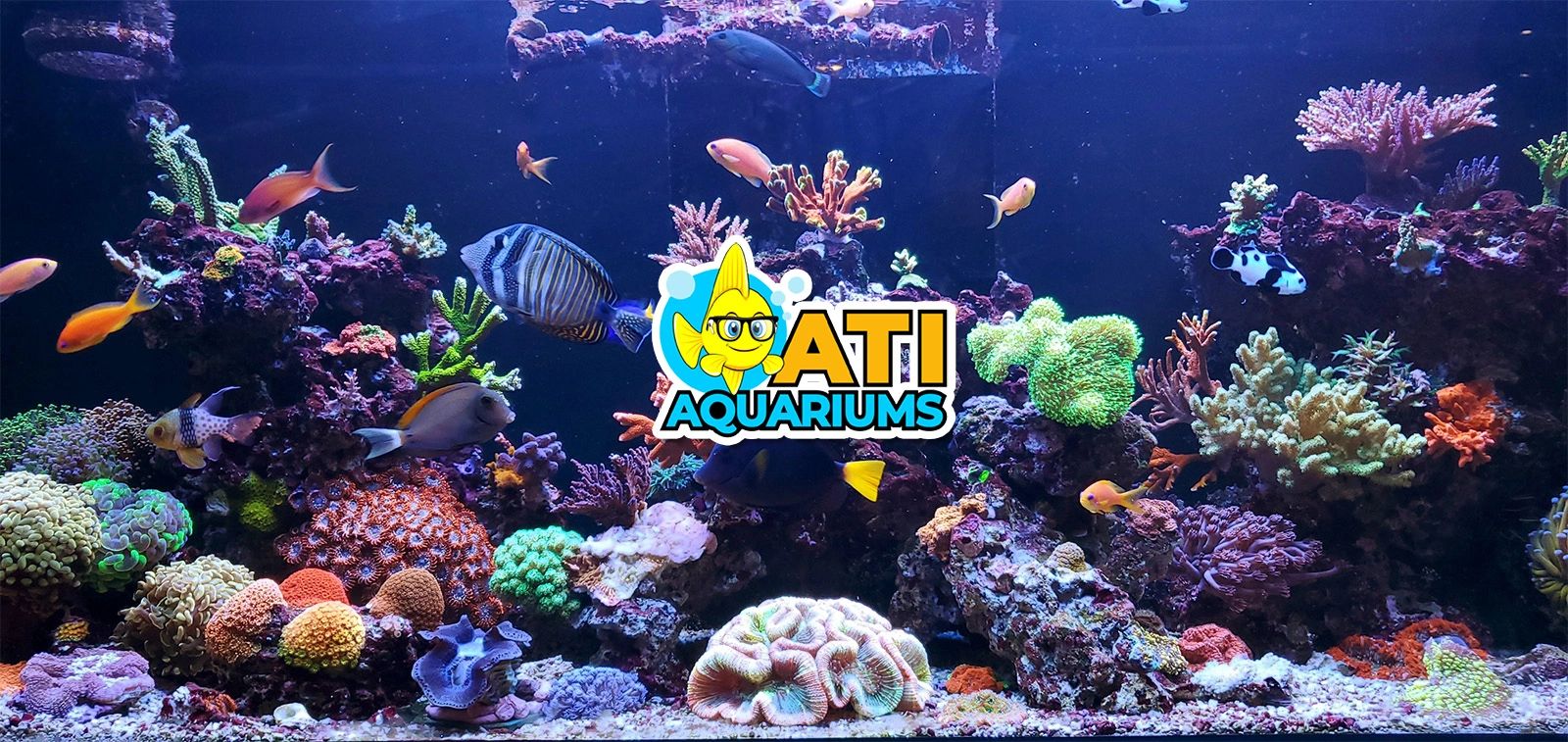 ATI Aquariums