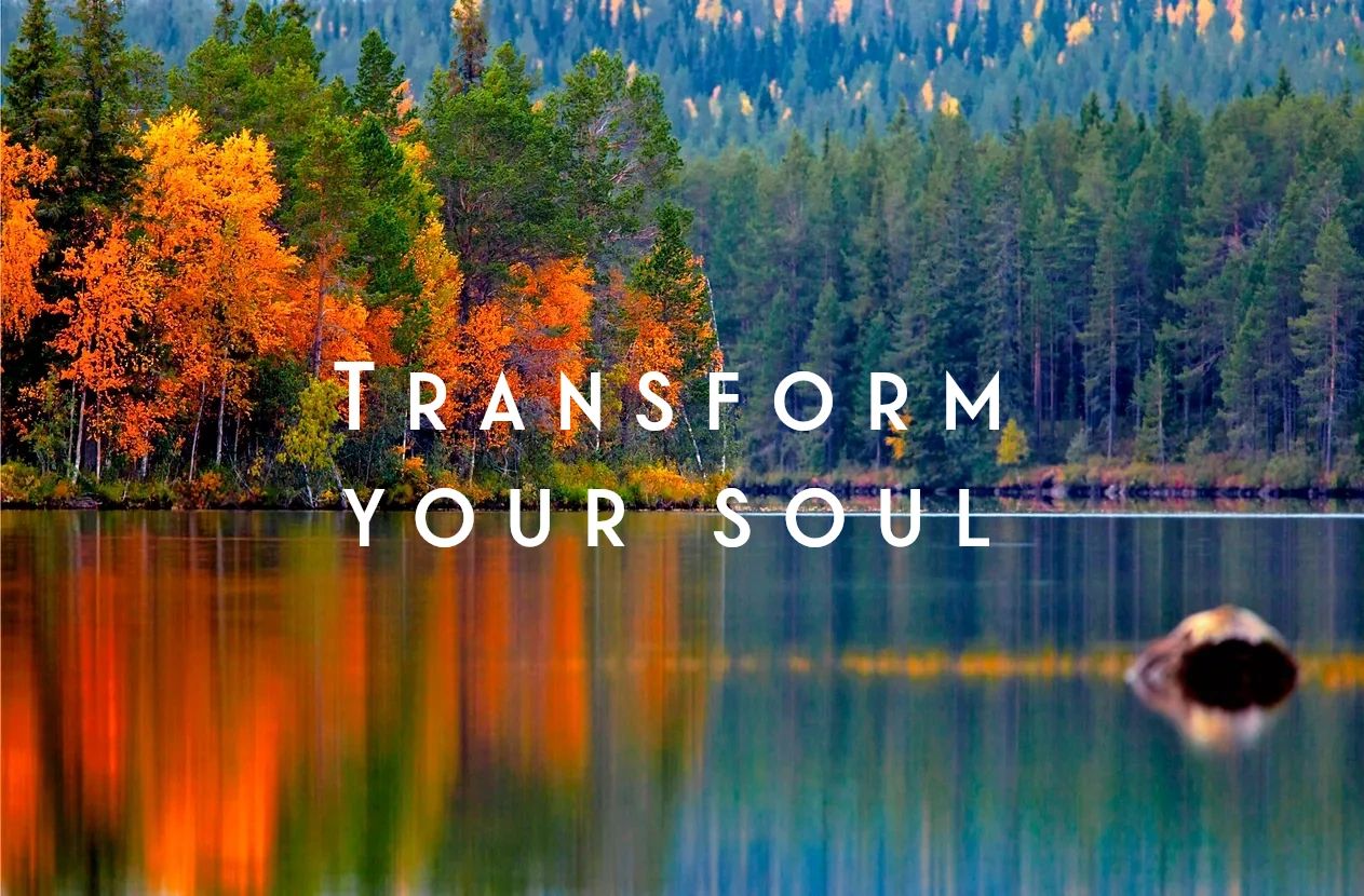 Reiki in Berlin CT | Distance Reiki & Chakra Healing – Blue Monarch Healing