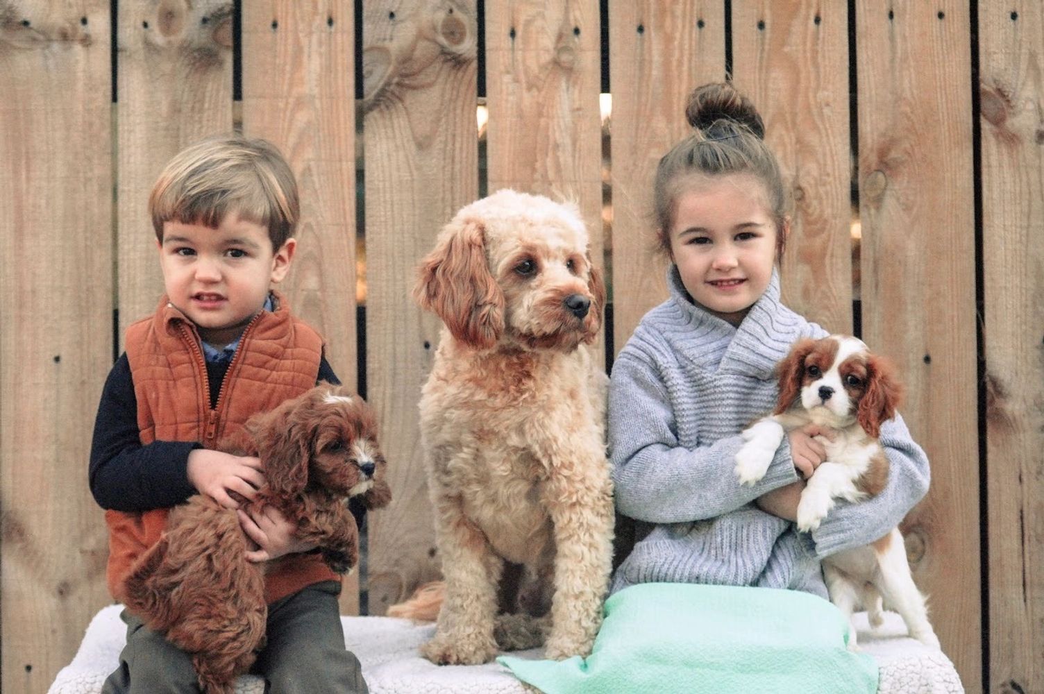 Blessed Little Pups - Home