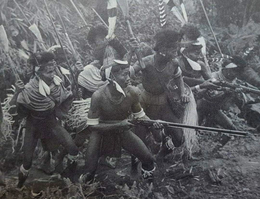 Borduria-Namsang War