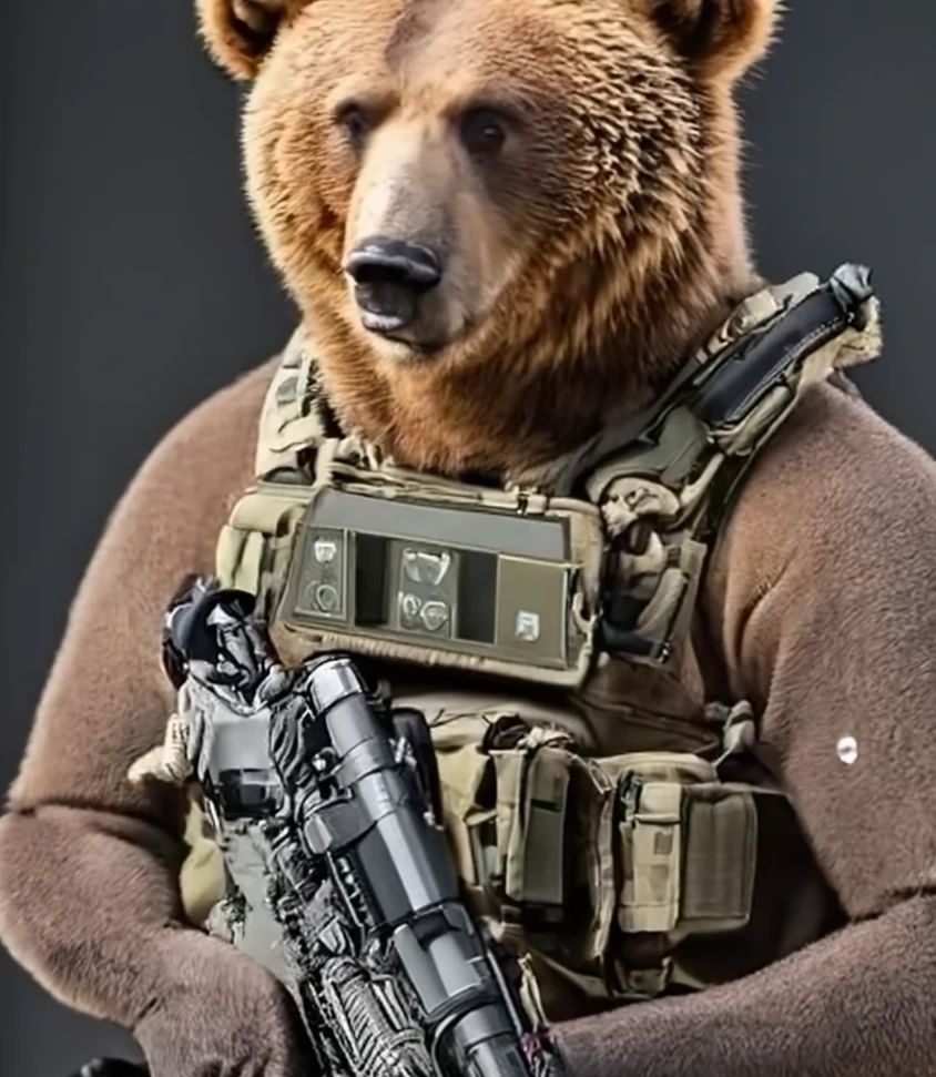 The Tactical Grizzly
