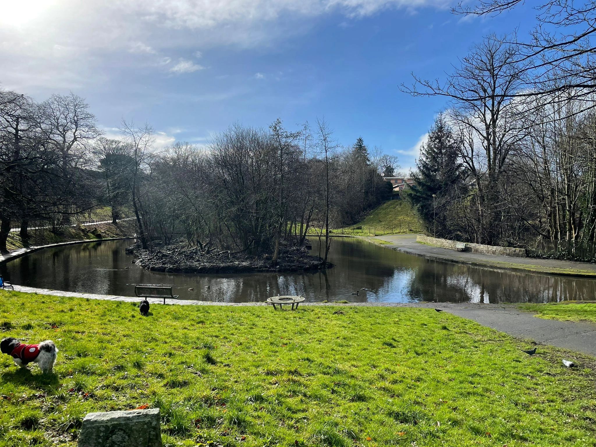 Wildlife | Castlemilk Park Glasgow