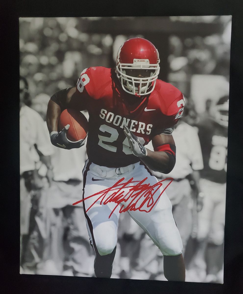 Adrian Peterson Autographed 11x14 Canvas Print