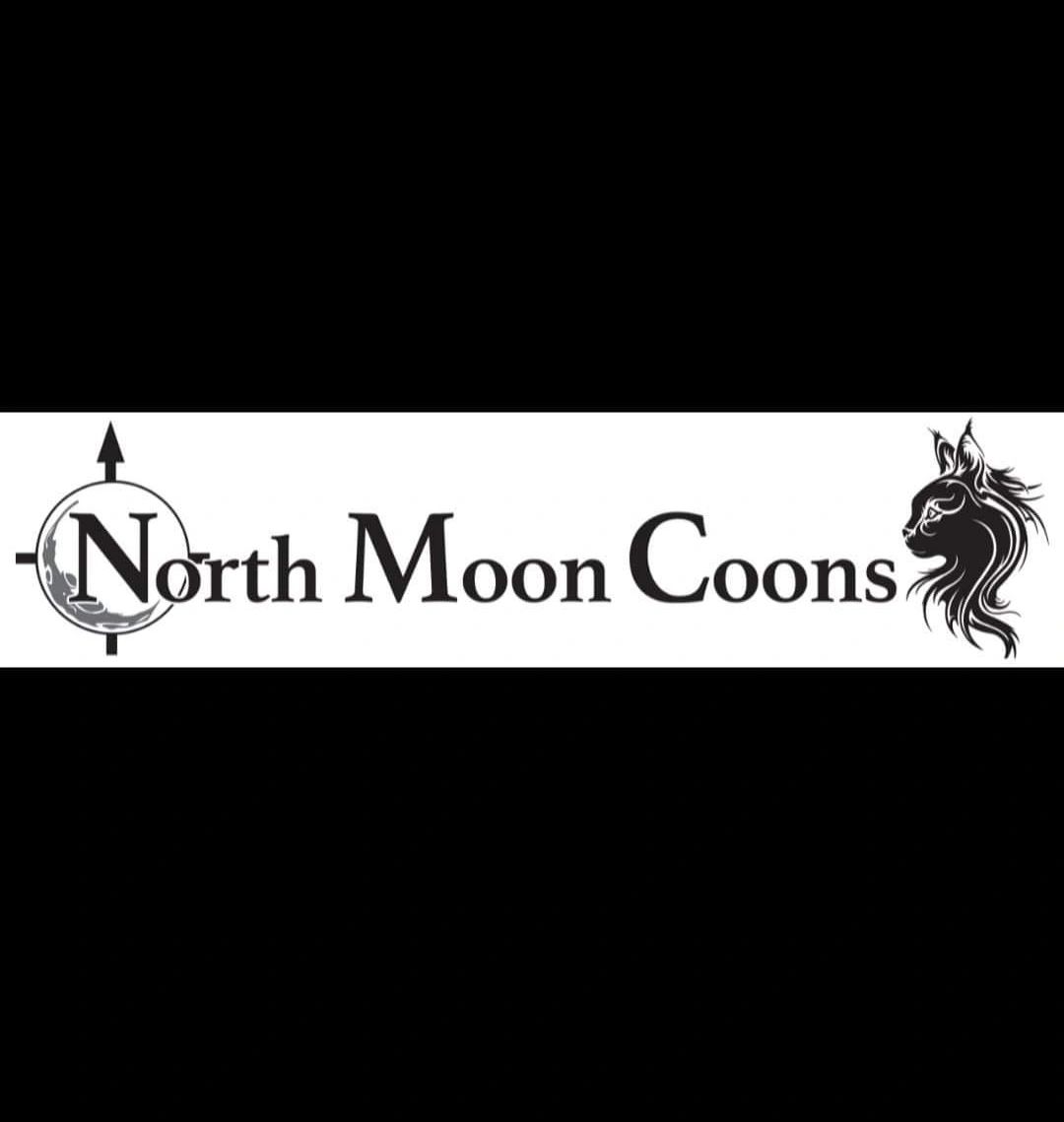 North Moon Coons