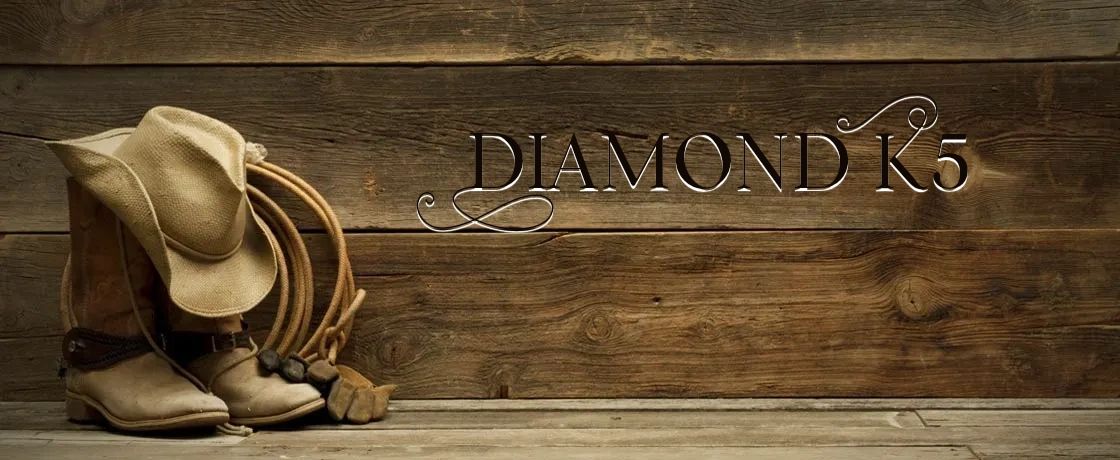 Byte Tags | Personalized Pet Safety Tags by Diamond K5