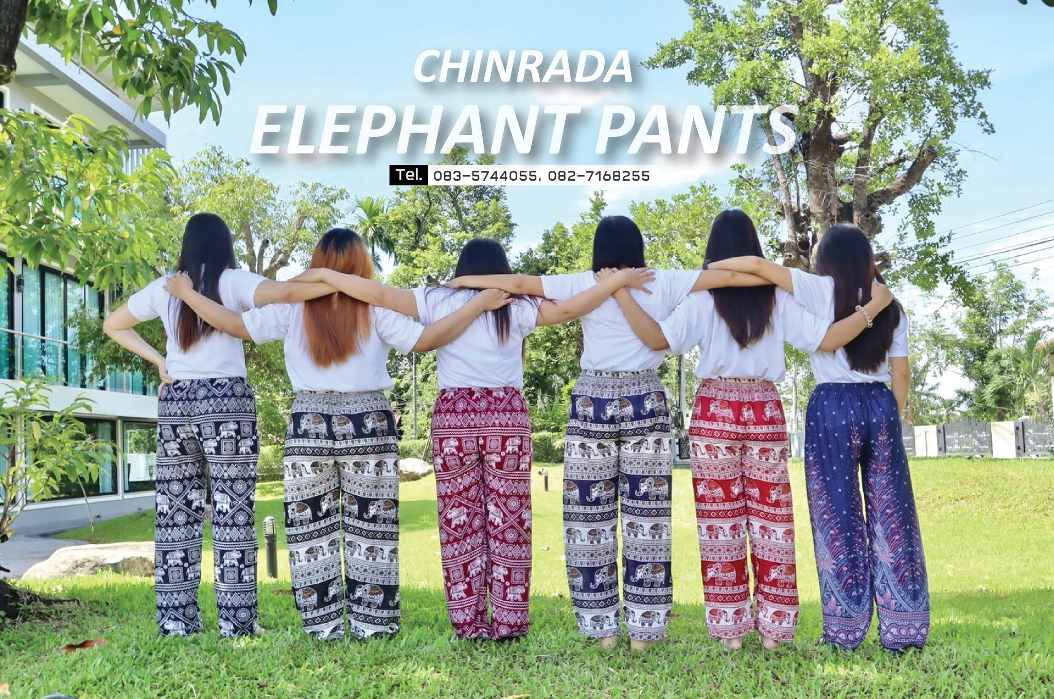 Draw Sting | ธุรกิจ