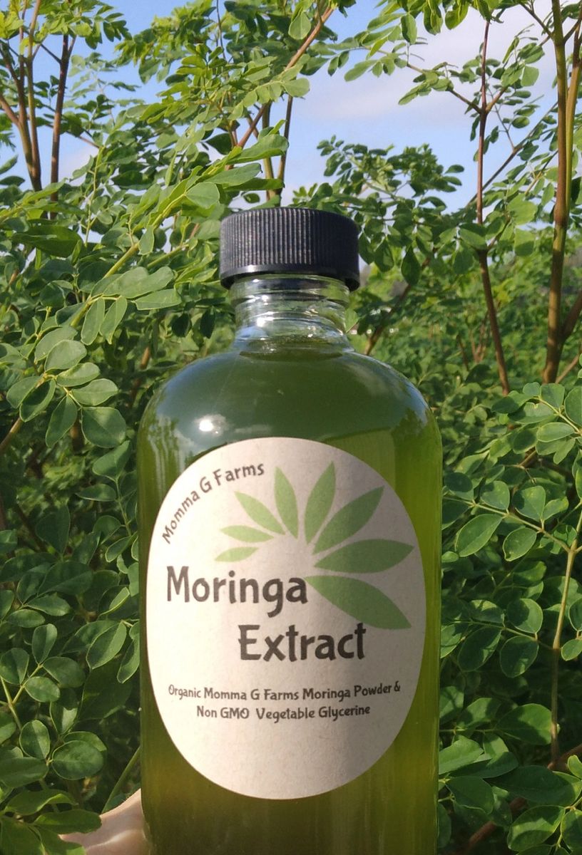 Moringa Extract
