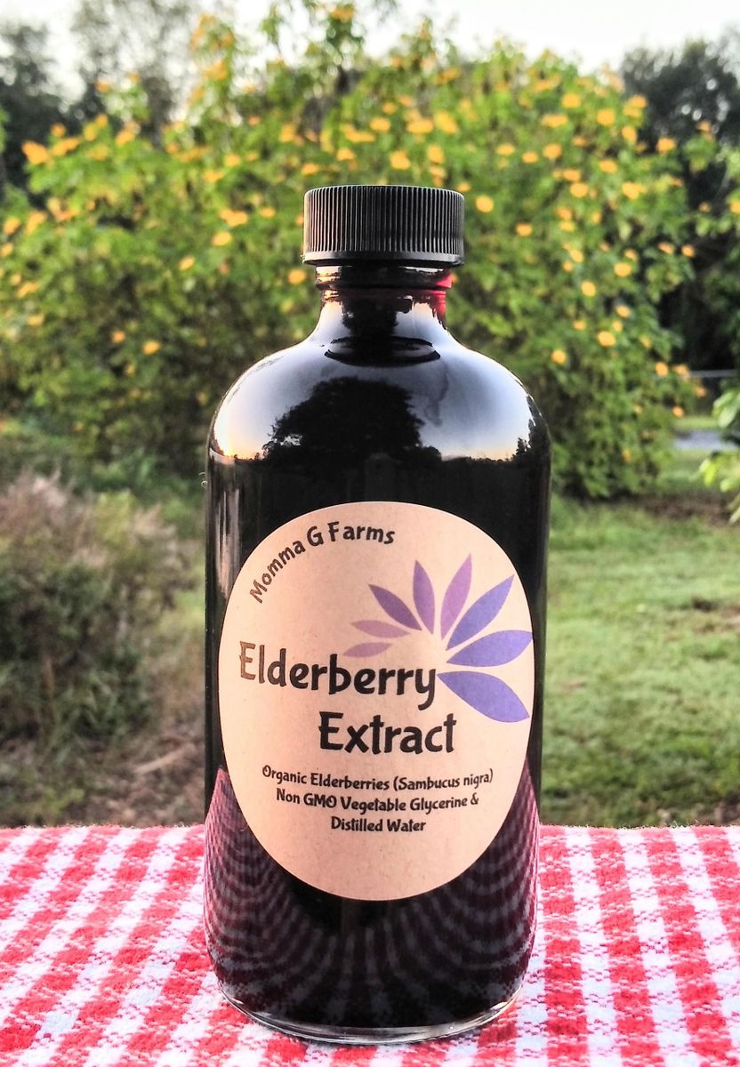 Elderberry Extract
