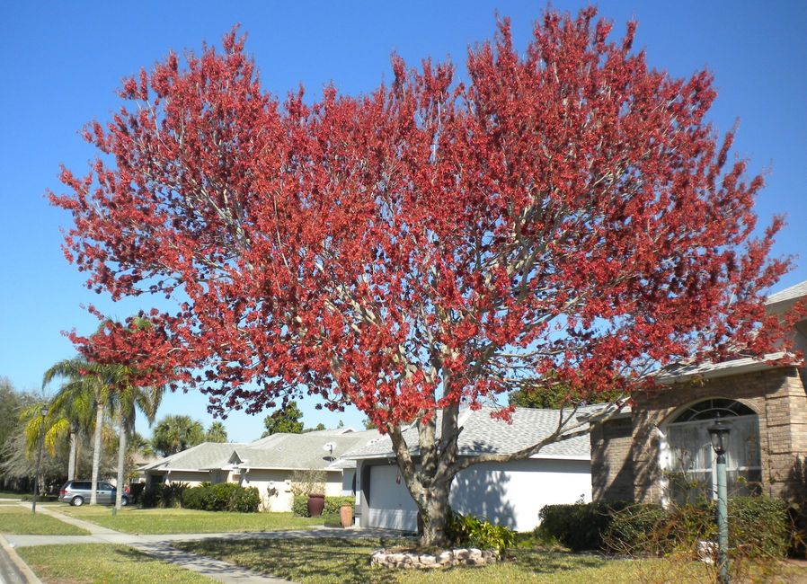 Sunset Lakes Home Owners Association, Inc.