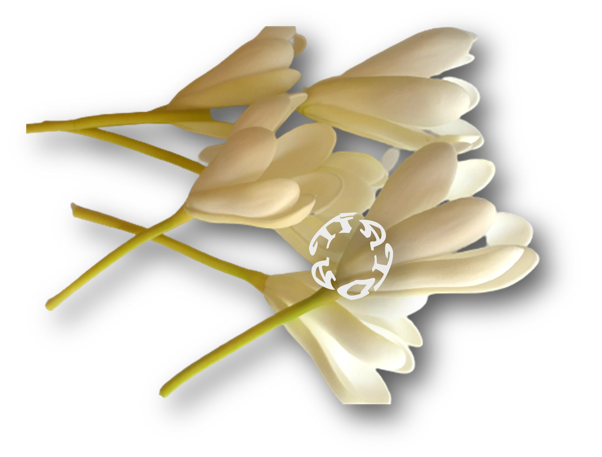 Tiare Flower young one