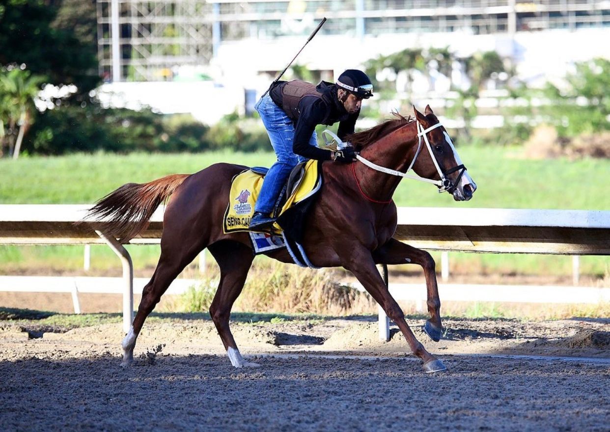 Garcia Racing Stables