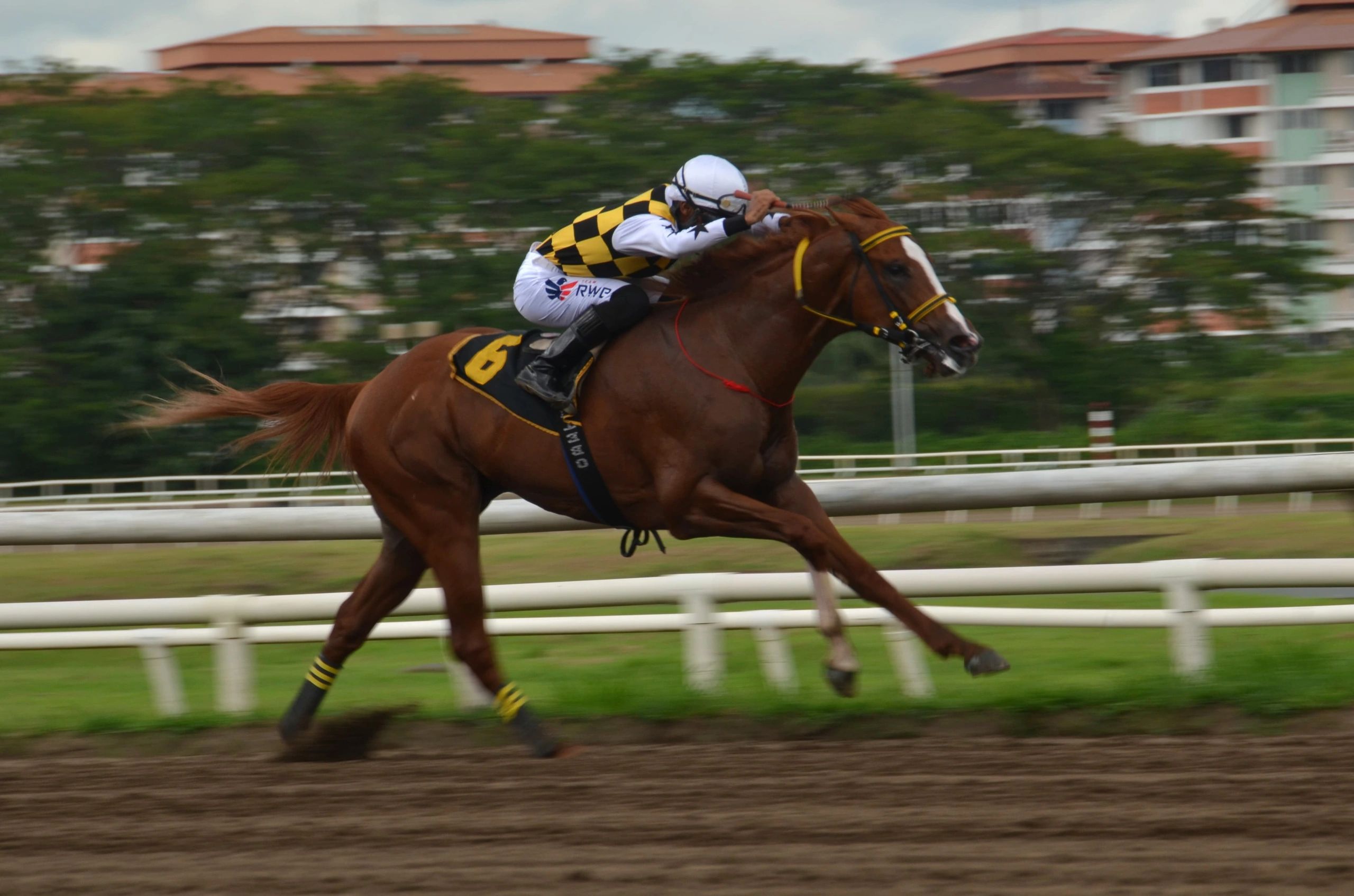 Garcia Racing Stables