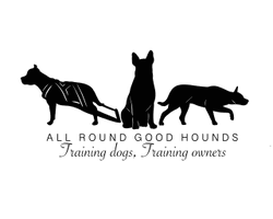 Argh - Dog Training Classes - Canberra, Australian Capital Territory