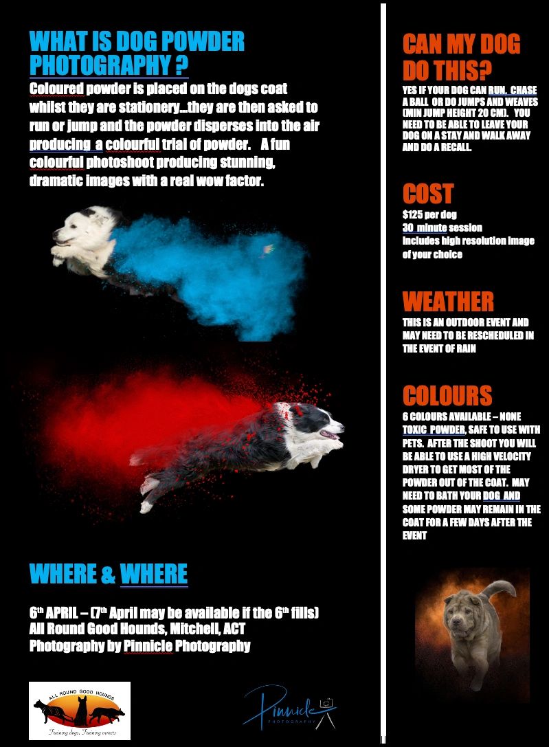 Sunday Dog Powder Shoot - Photography Session