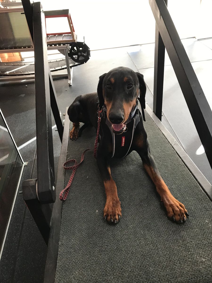 Introductory Gym Package