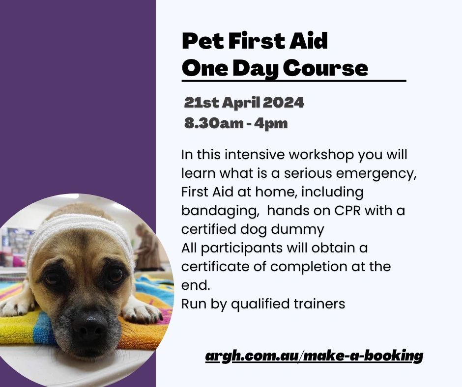 Pet First Aid One Day Course - commencing 21 April 2024