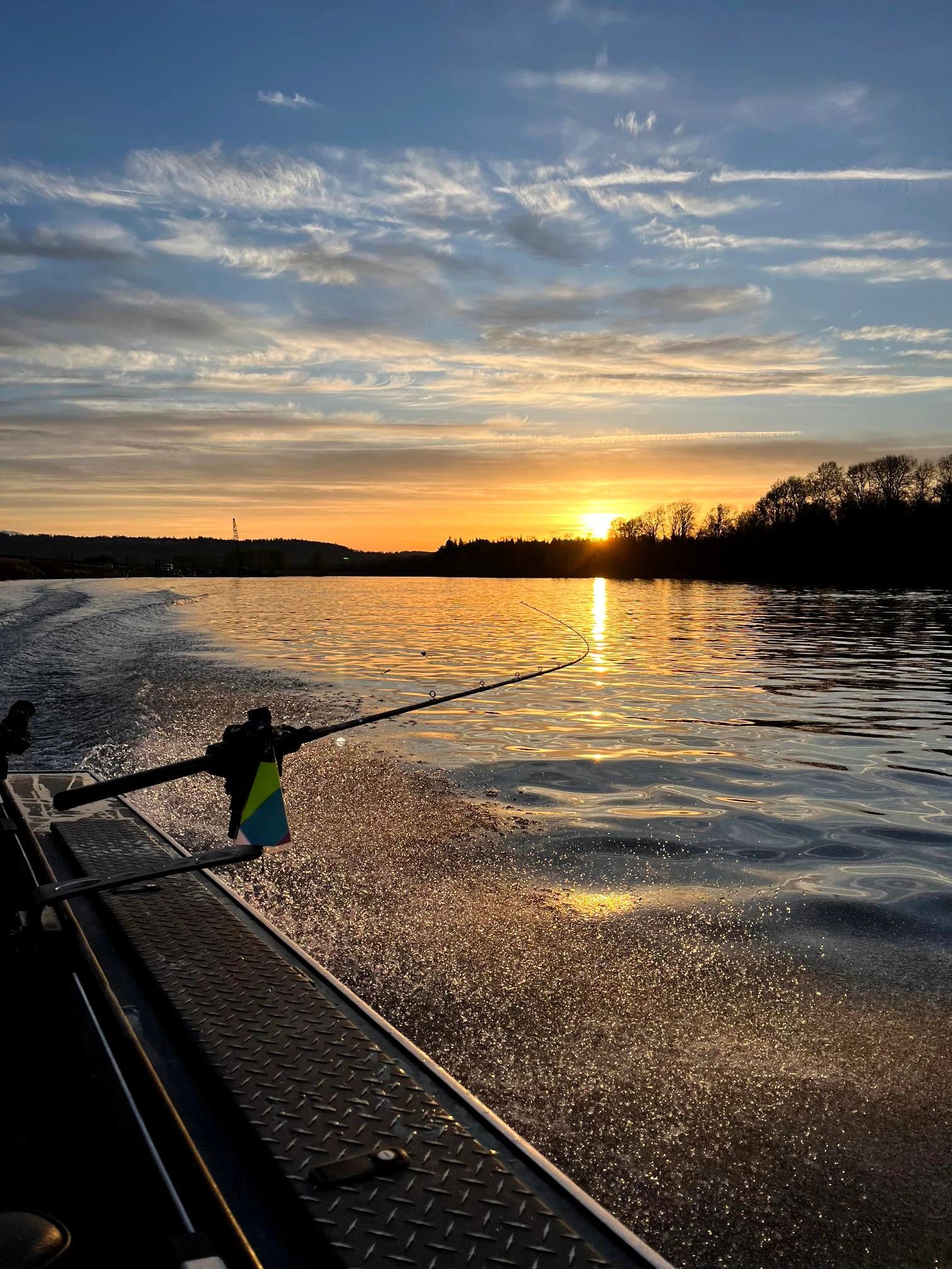 Columbia River Salmon Fishing Adventures with Ferg's Guided Fishing