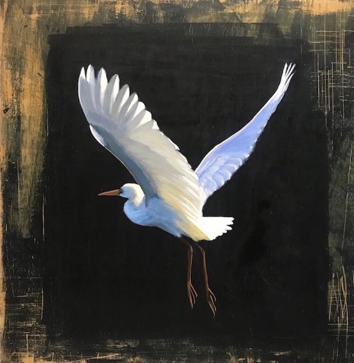 Animal Series | Deborah Masters Art