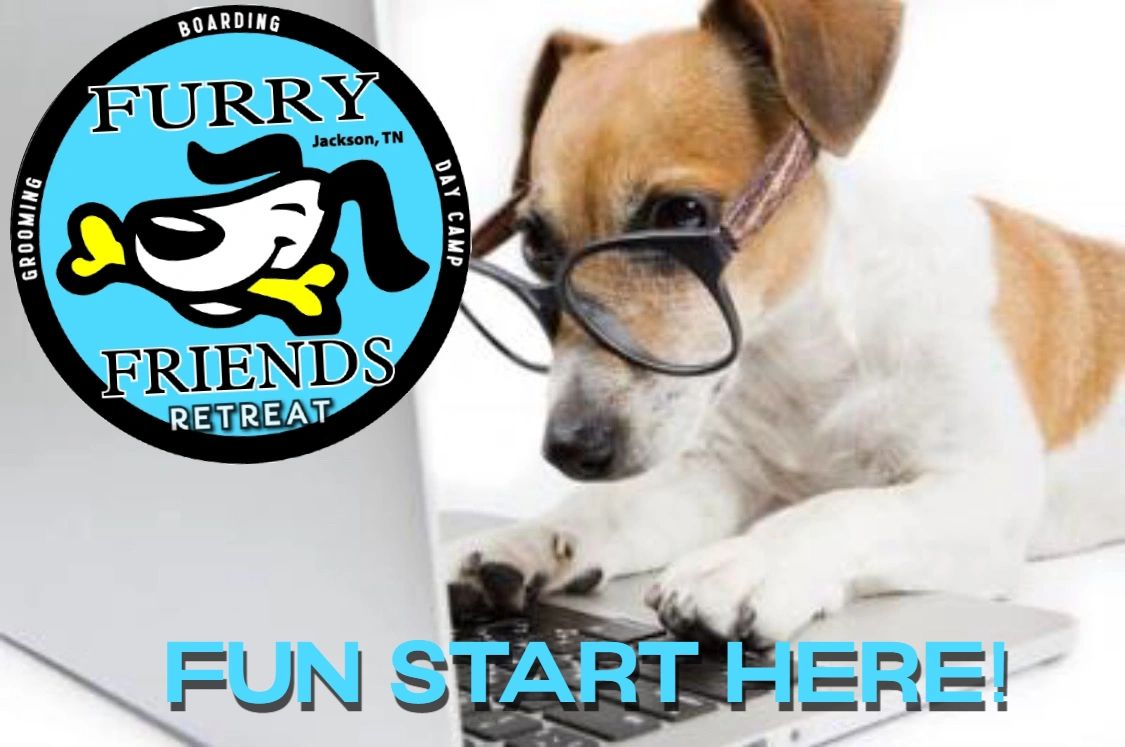 HOME [furryfriendsk9.care]