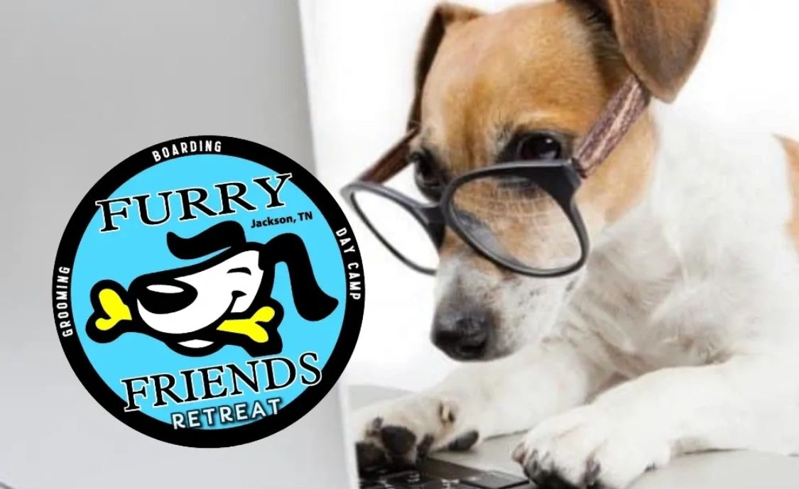 HOME [furryfriendsk9.care]