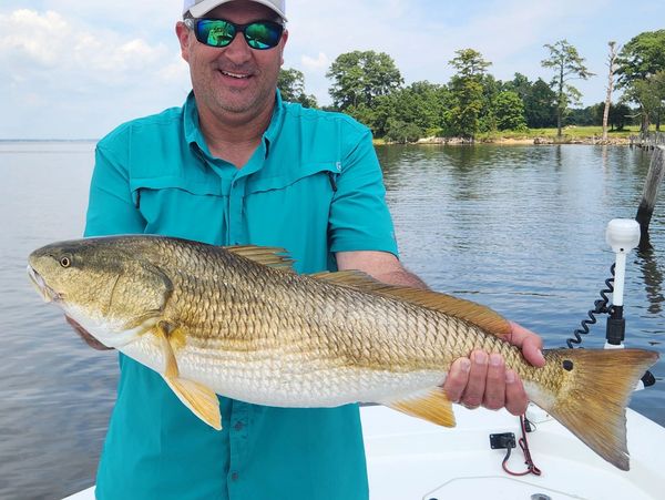 Spec Fever Guide Service - NC Fishing Charters, Fishing Guide