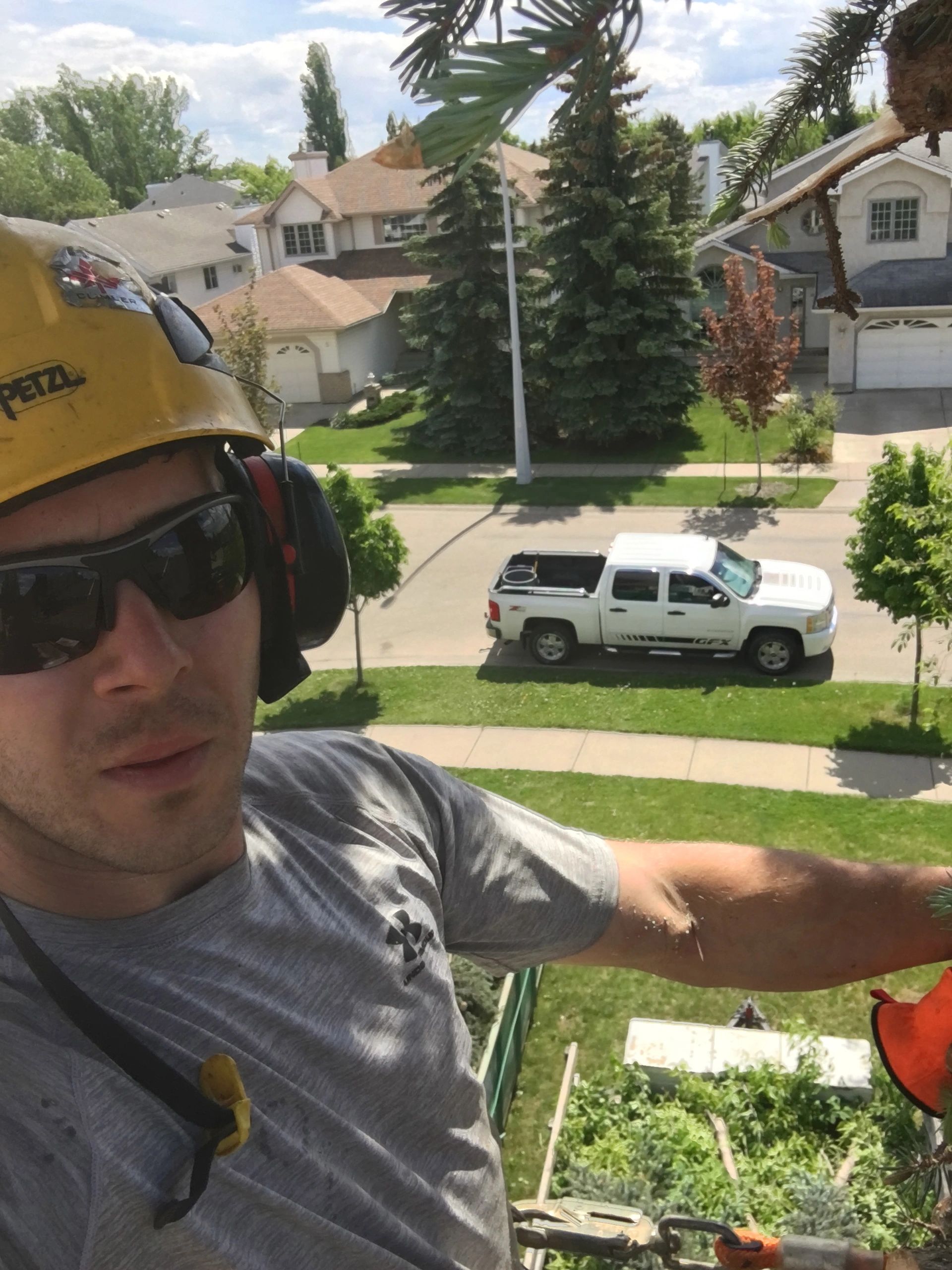 Tree Services - Red Willow Tree Service - St. Albert, Alberta